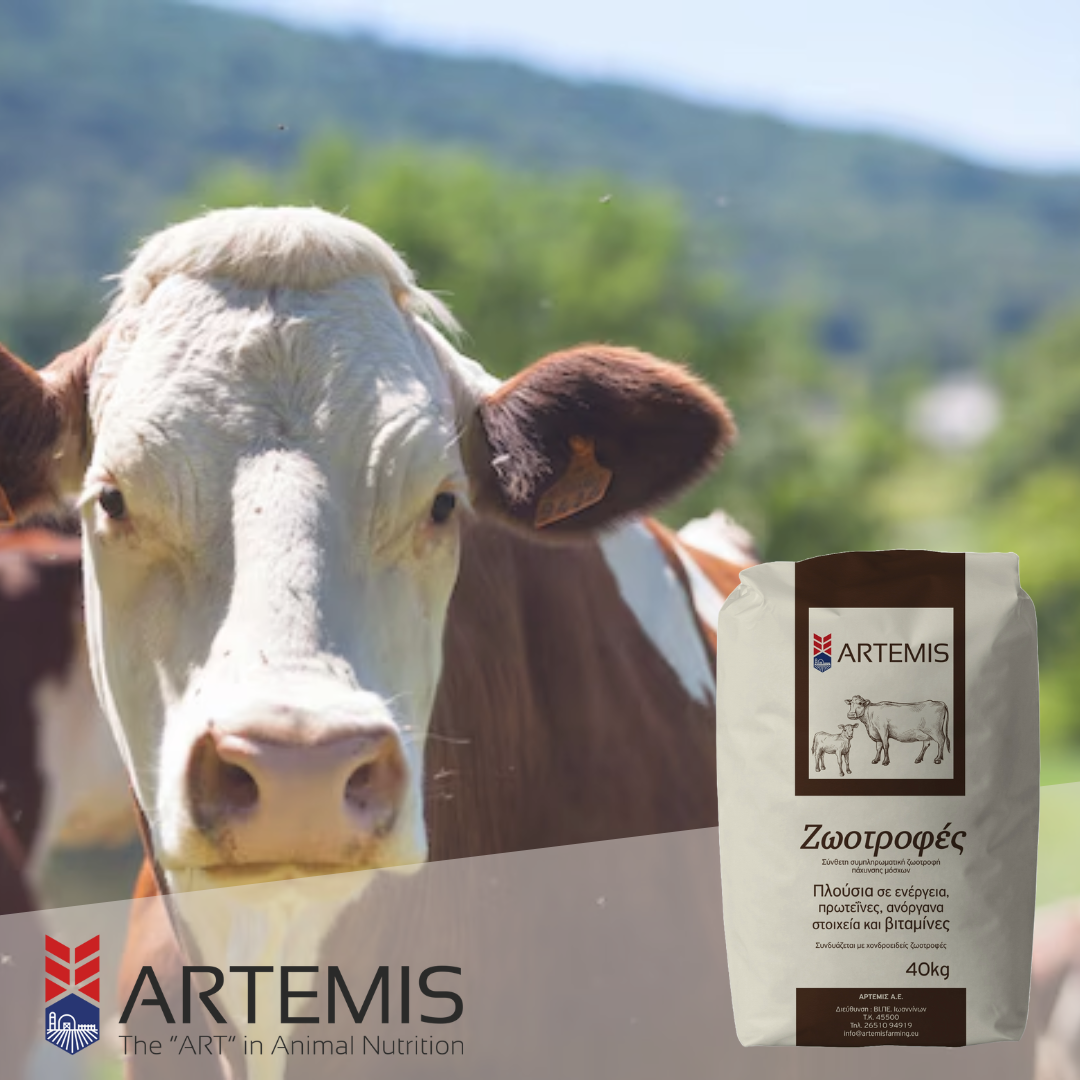 Βοοτροφές - artemisfarming.gr
