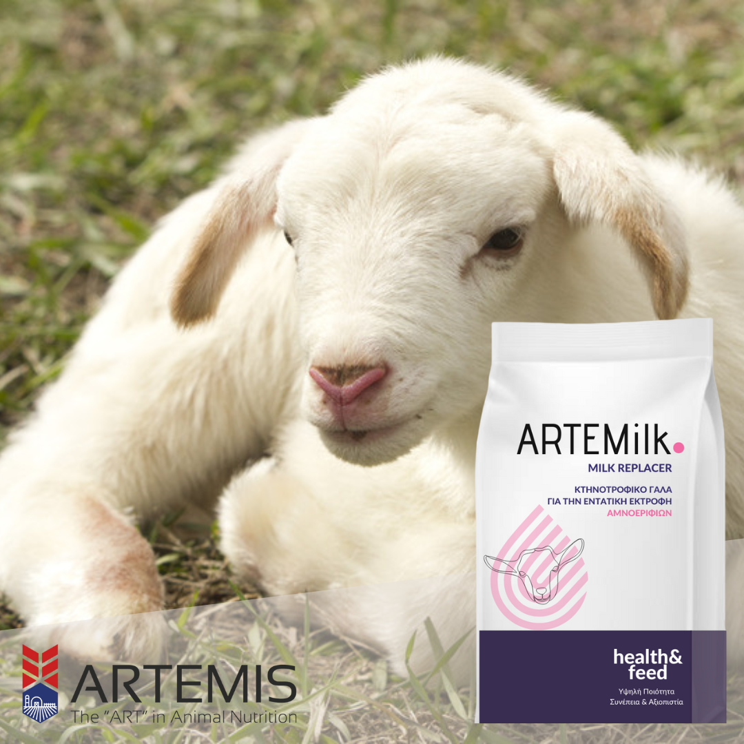 Κτηνοτροφικά Γάλατα Αμνοεριφίων - artemisfarming.gr