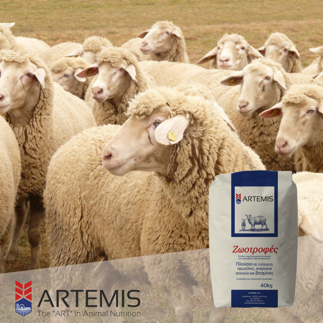 Αιγοπροβατοτροφές - artemisfarming.gr